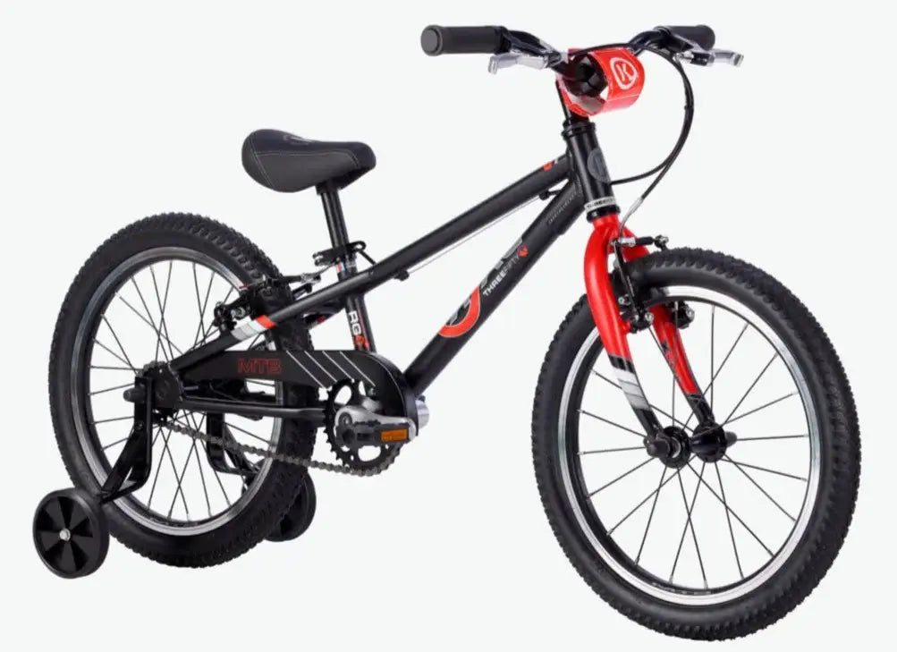 BYK E350 MTBx1 Kids Bike